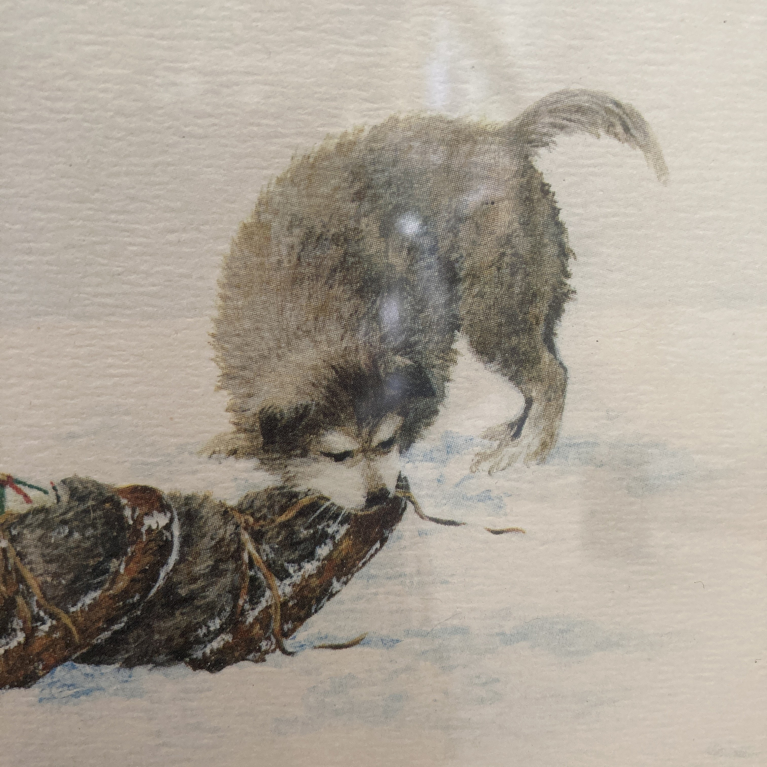 Vintage Inuit Print of Dorothy Francis Painting Child Amauti | Etsy Canada