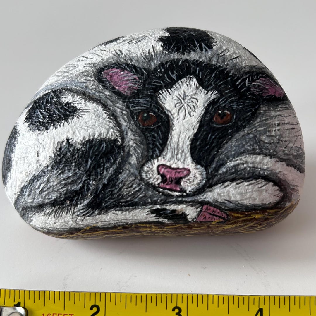 Hand Painted Cow Rock Black & White Holstein Dairy Cow Design Farm ...