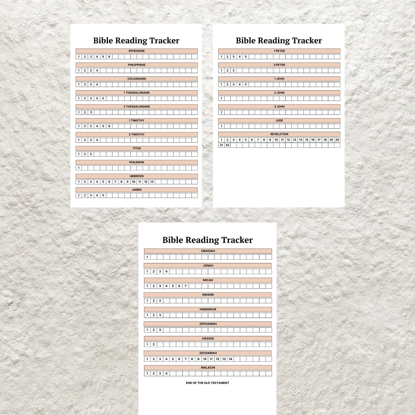 Bible Reading Tracker Printable Bible Reading Plan Checklist Daily ...