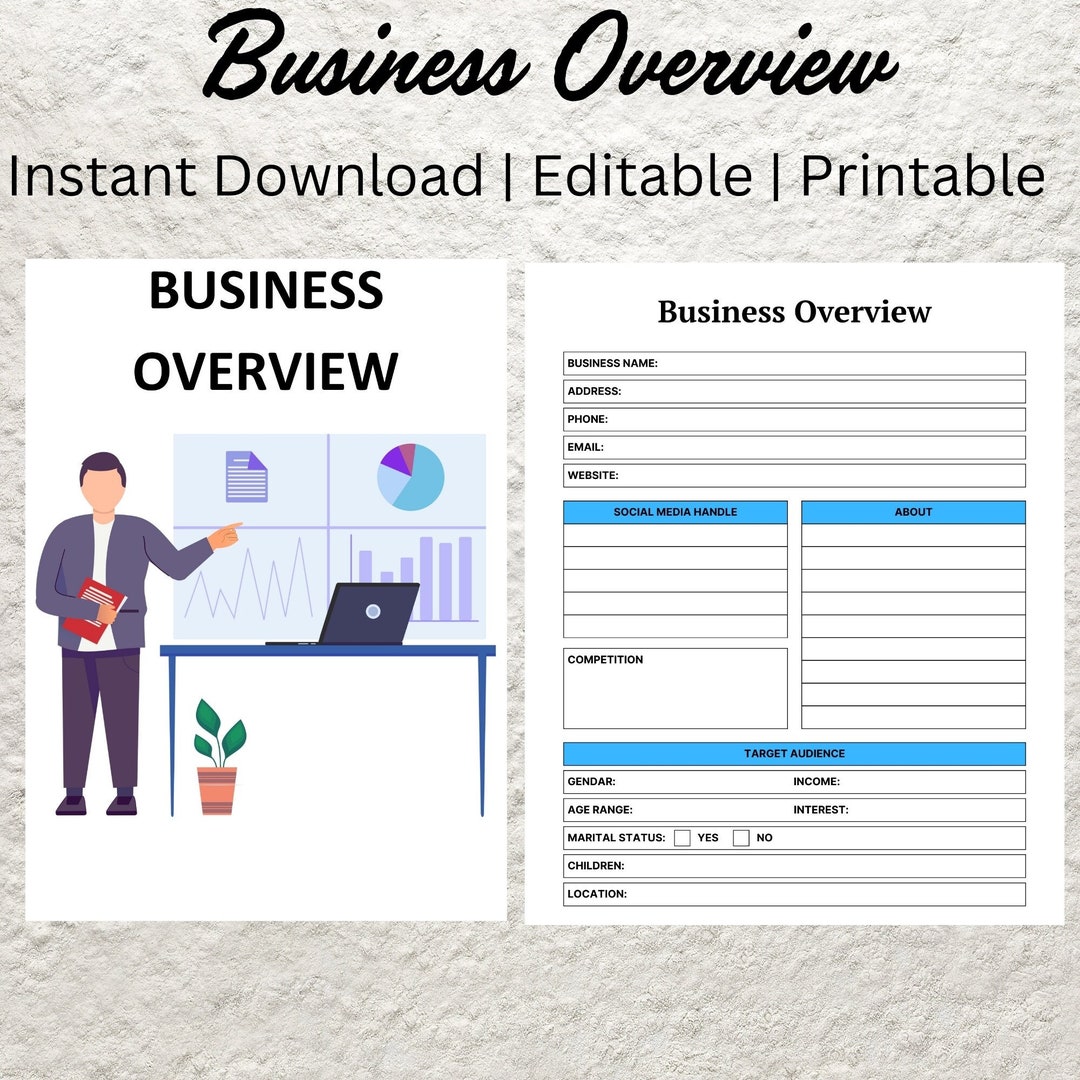 Business Overview Template Printable Business Overview Planner Small ...
