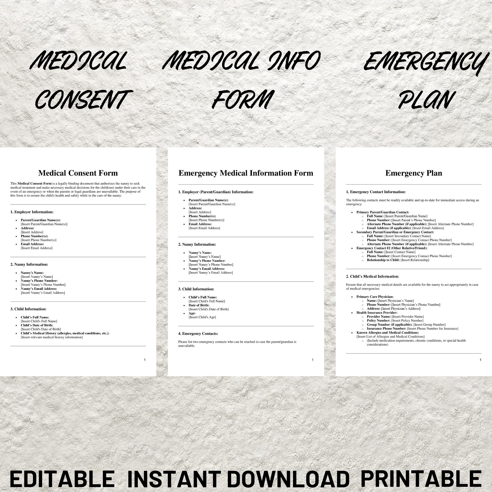 Editable Nanny Binder Babysitting Forms Bundle Printable Nanny Planner ...