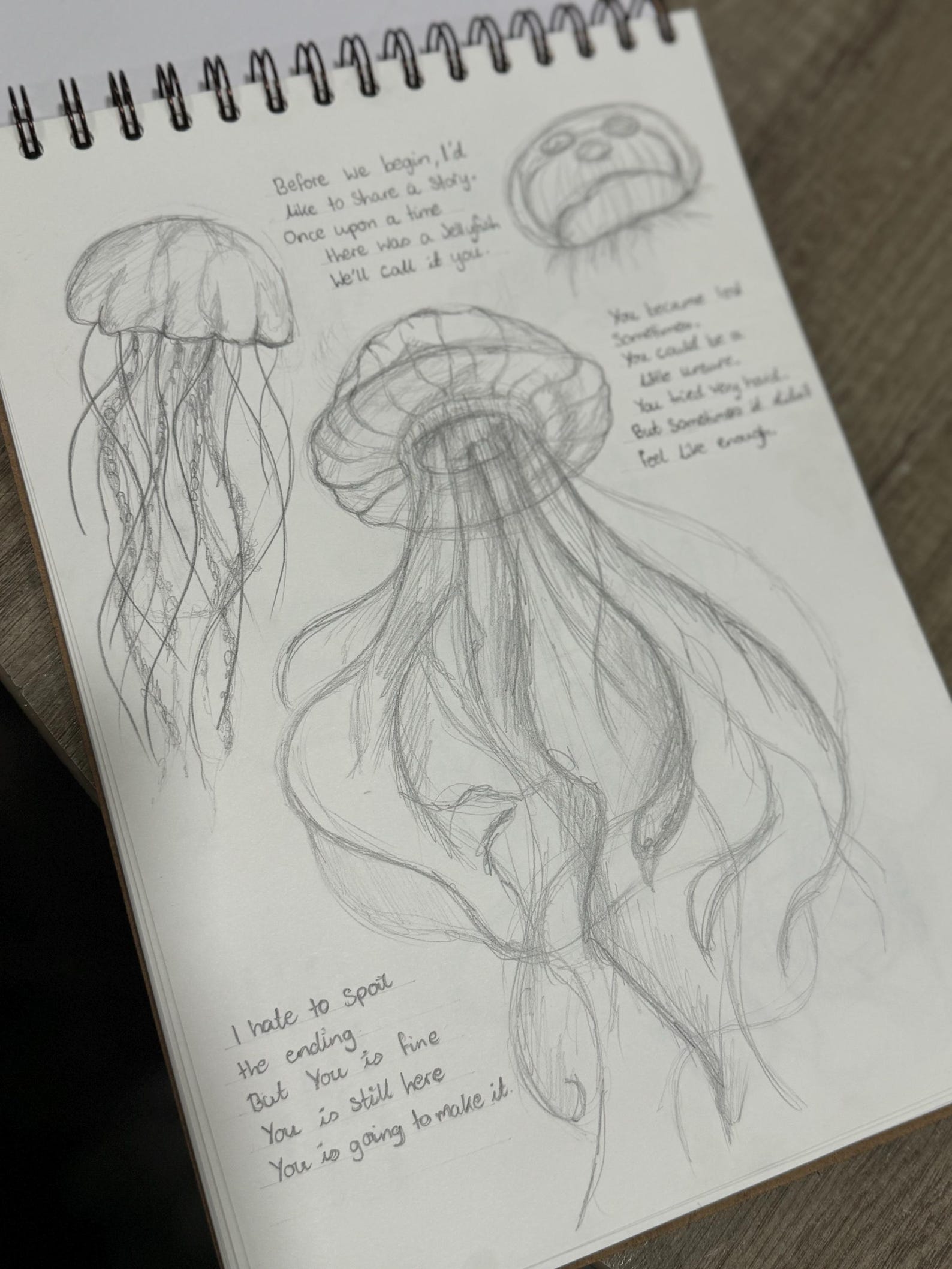 Hand Drawn Animal Study Pages Made to Order - Etsy