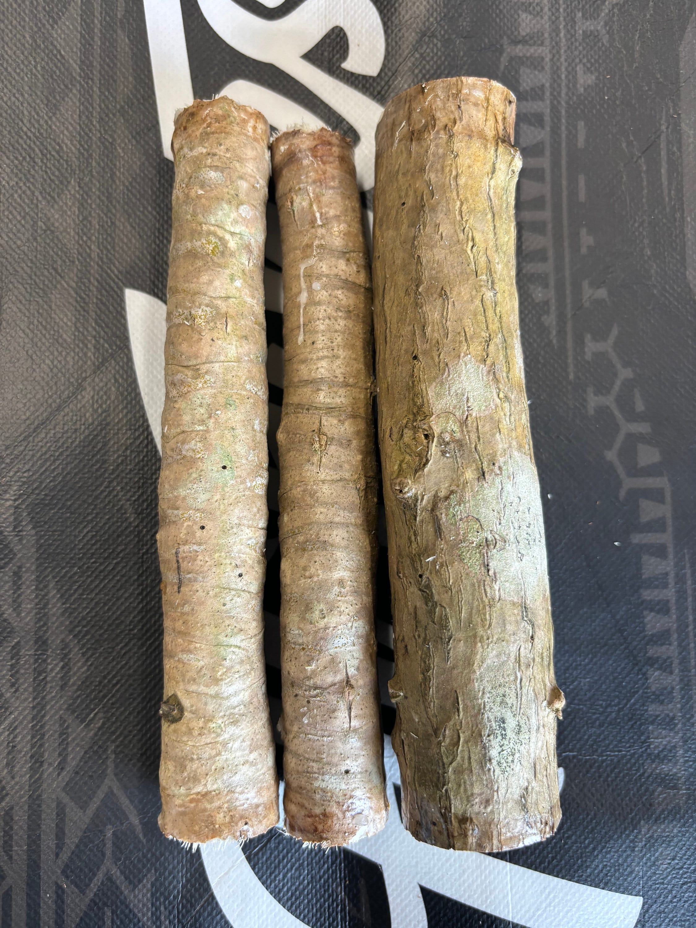 Hawaiian Green Ti Leaf Cutting Starter 6" Logs 3 Pack - Etsy