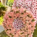 Apple Blossom Wreath - Etsy