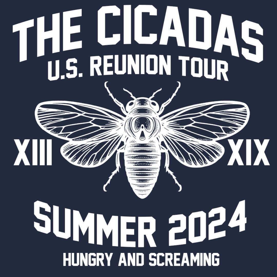 The Cicadas US Reunion Tour 2024 - Etsy