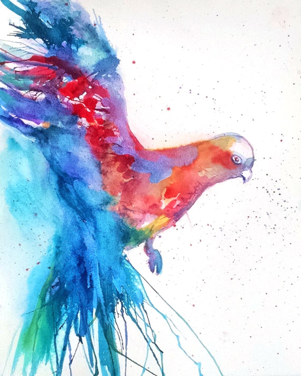 Parrot Art, Red Parrot, Blue Exotic Bird, Bird Painting, Parrot ...