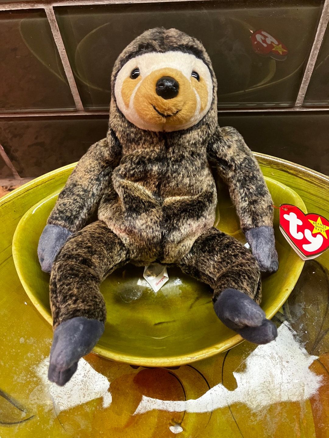 This Handsome Fellow is Slowpoke the Sloth. - Etsy