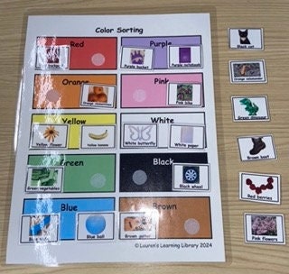 DIGITAL DOWNLOAD: Color Sorting Activity Kindergarten Preschool Special ...