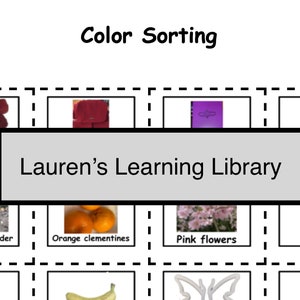 DIGITAL DOWNLOAD: Color Sorting Activity Kindergarten Preschool Special ...