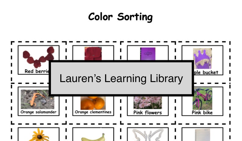 DIGITAL DOWNLOAD: Color Sorting Activity Kindergarten Preschool Special ...