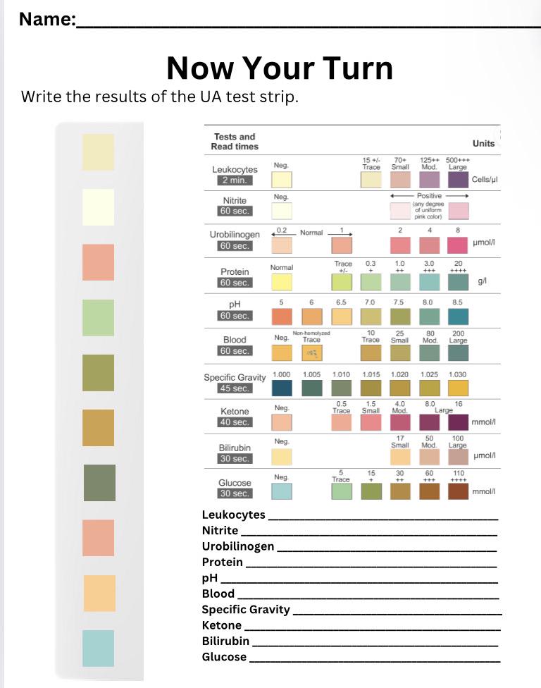 Performing Urinalysis Worksheet PDF - Etsy
