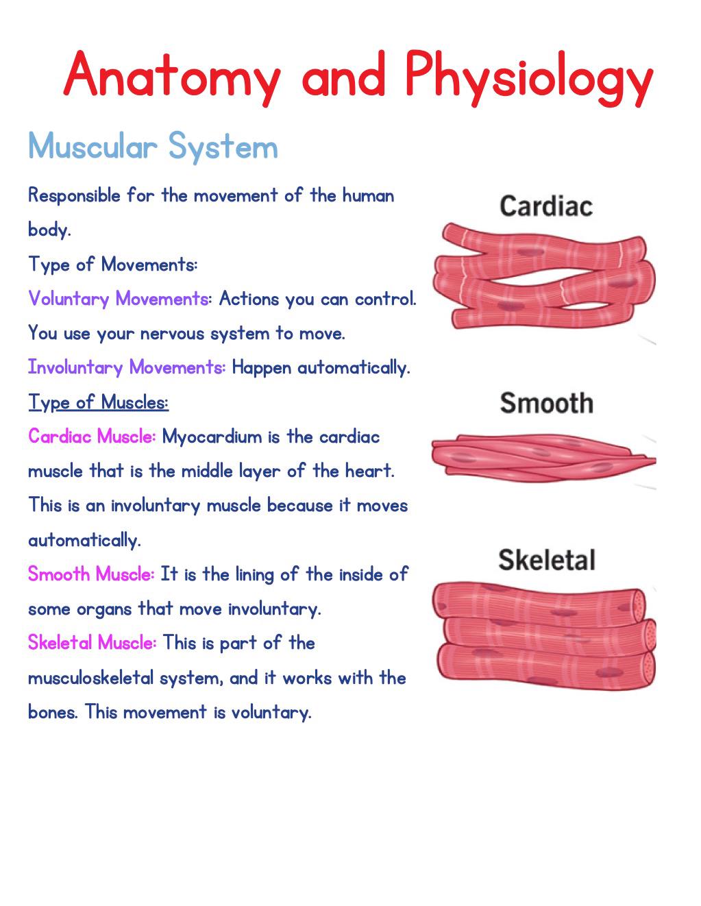 Medical Assistant Book, CMA, MA Notes, Study Guide PDF - Etsy