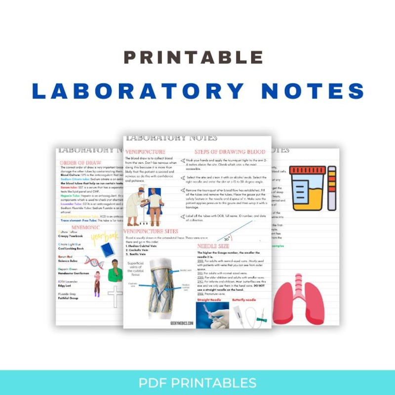 Phlebotomy Study Guide - Etsy