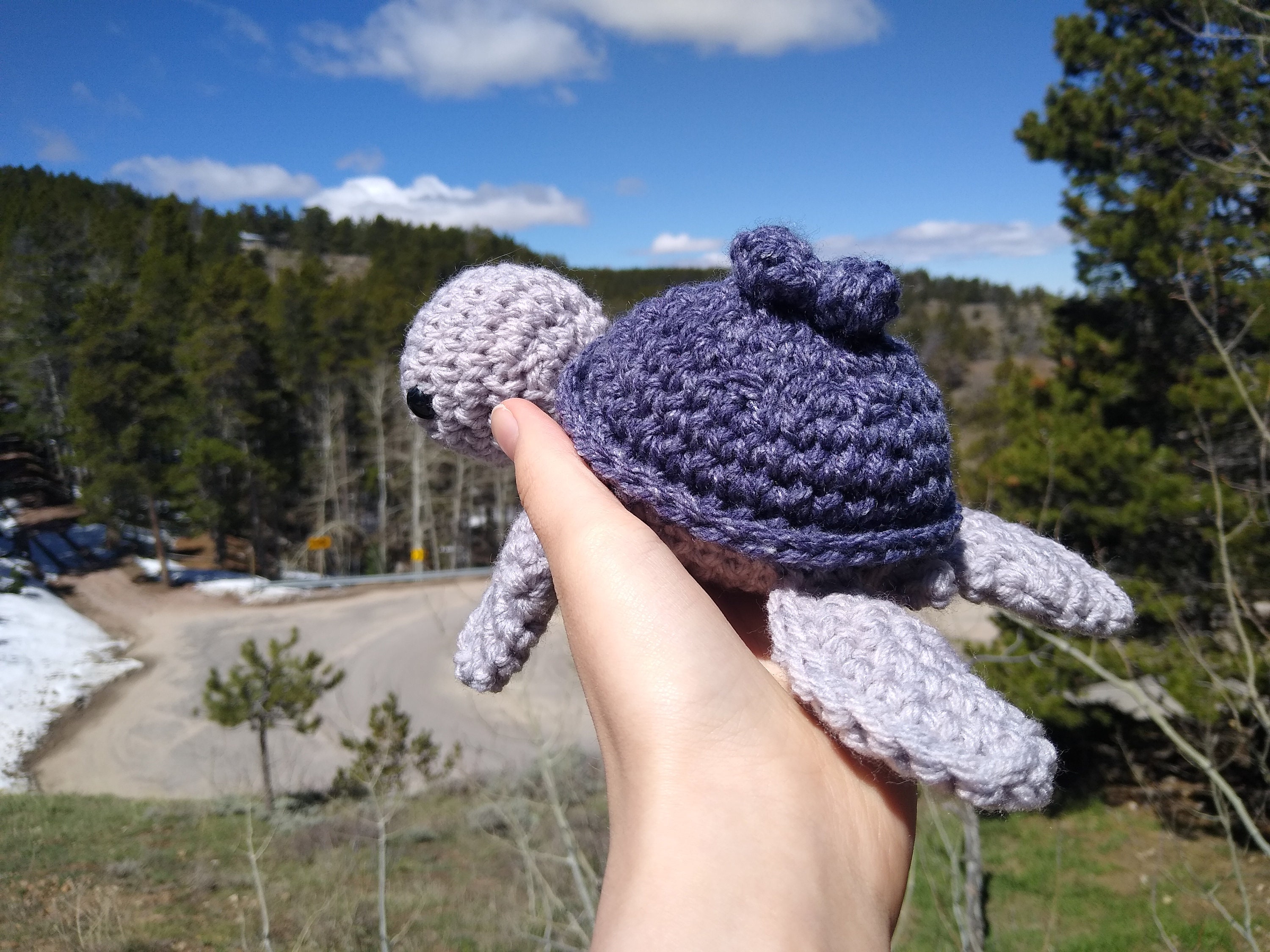 Cute Crocheted Blueberry Turtle - Etsy