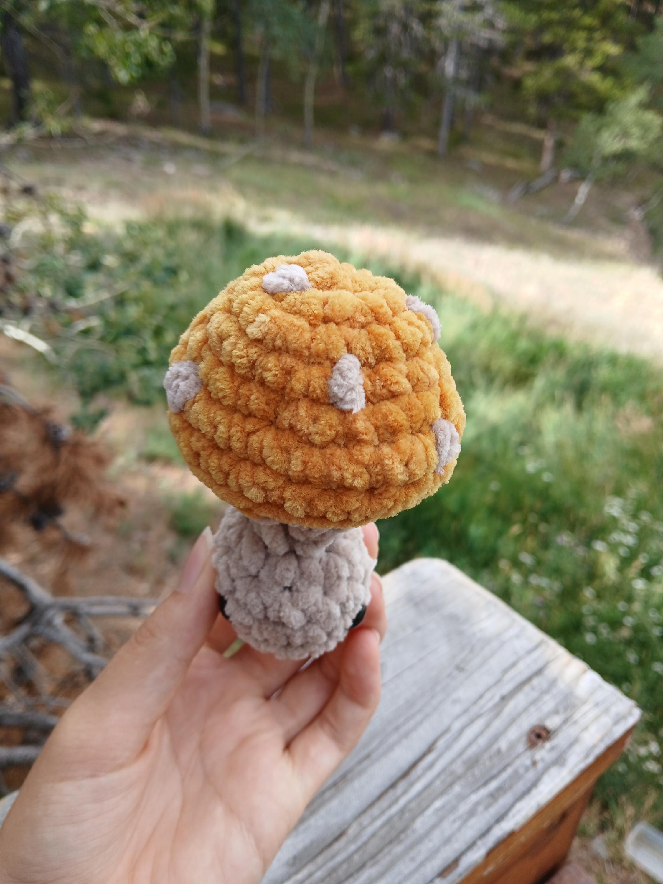Mini Crochet Mushroom Pops AKA Mushie Pops - Etsy