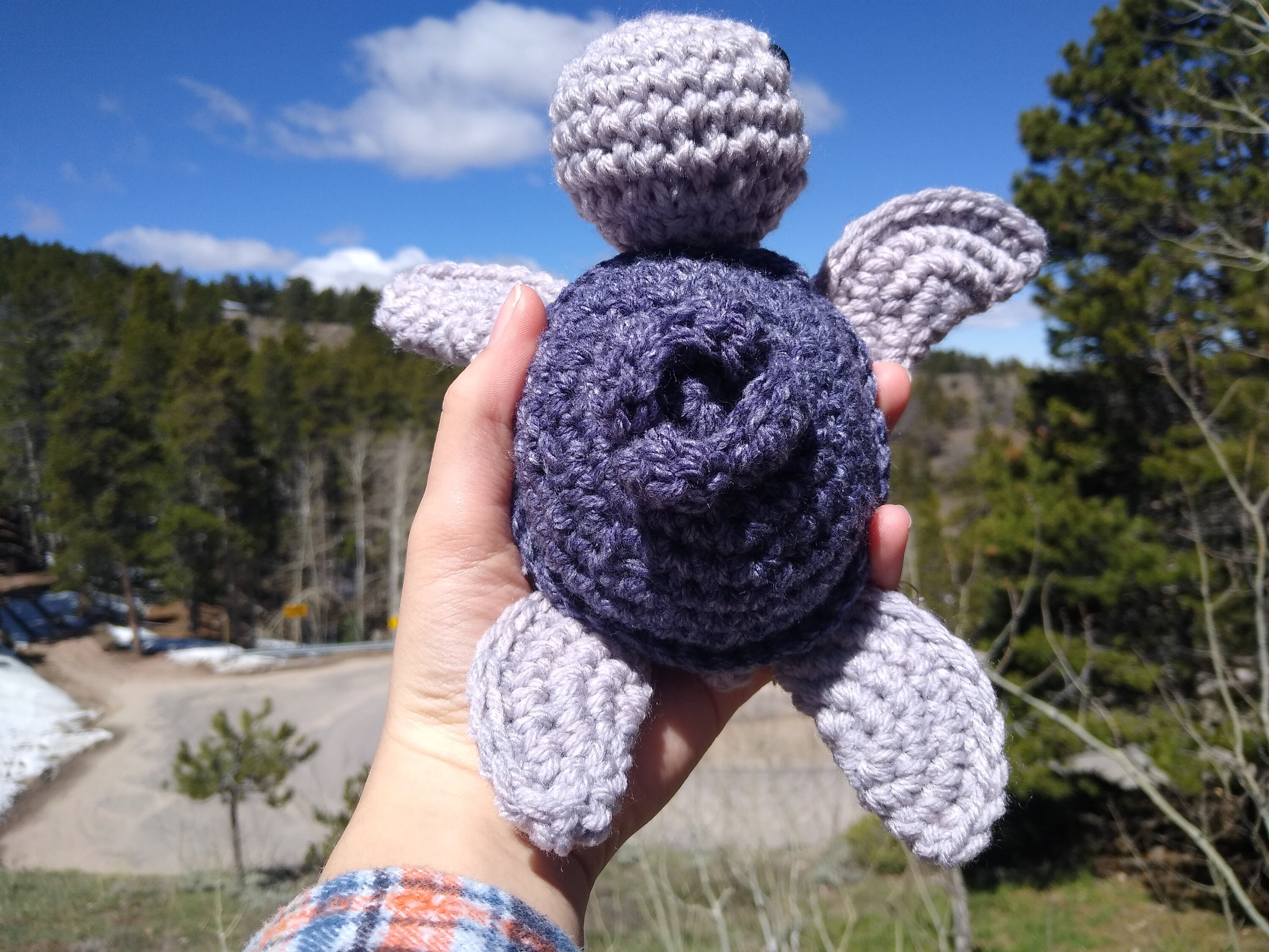 Cute Crocheted Blueberry Turtle - Etsy