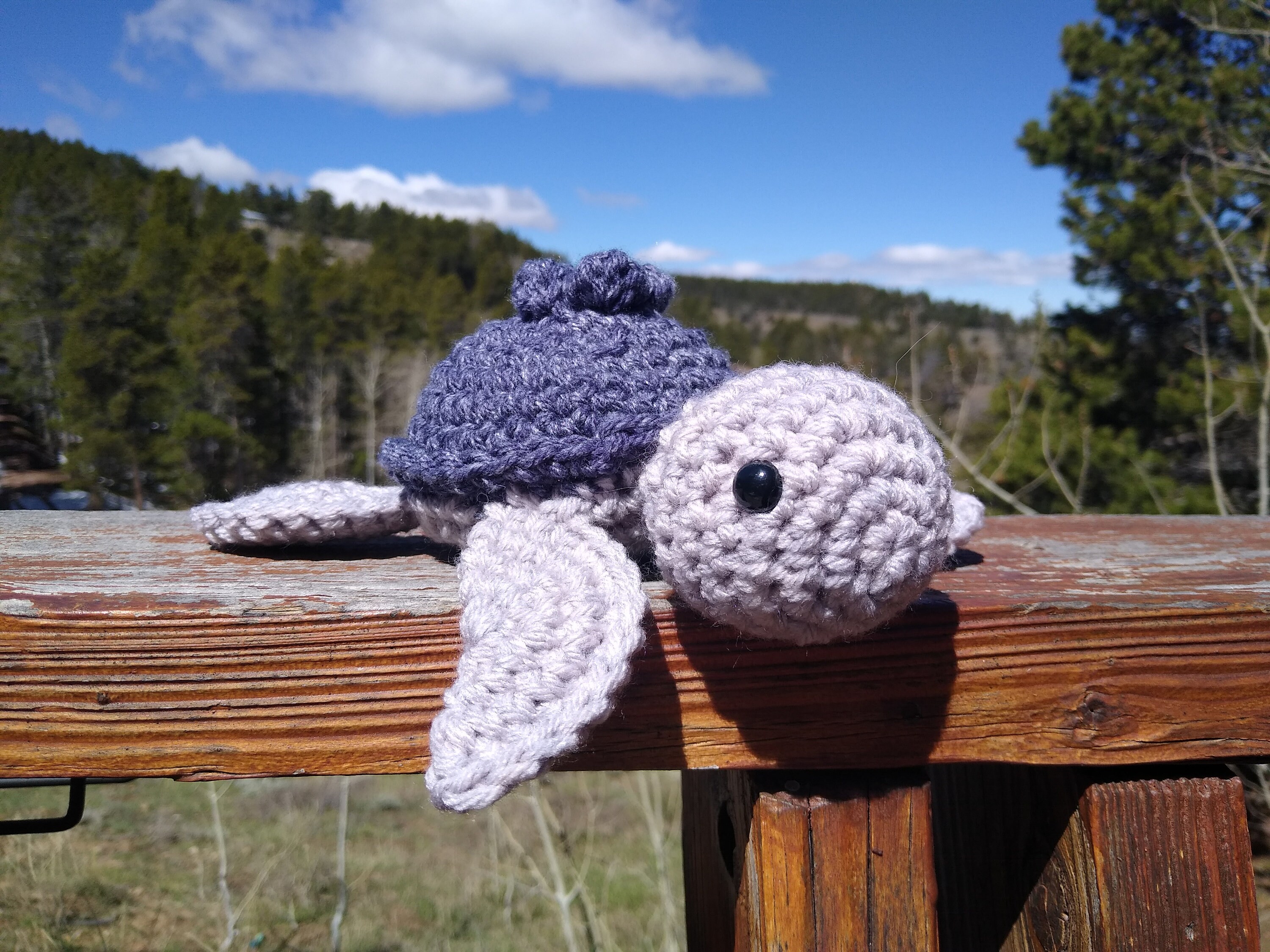 Cute Crocheted Blueberry Turtle - Etsy
