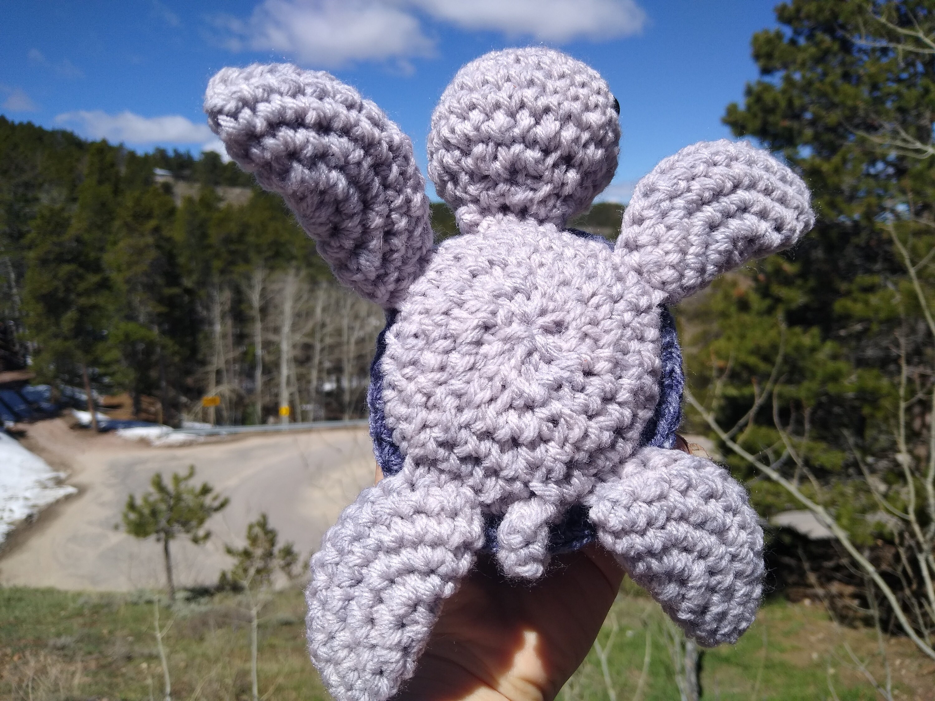 Cute Crocheted Blueberry Turtle - Etsy