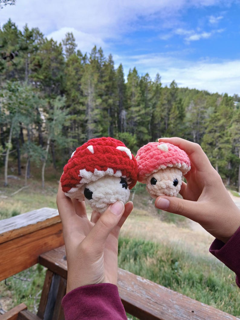 Mini Crochet Mushroom Pops AKA Mushie Pops - Etsy