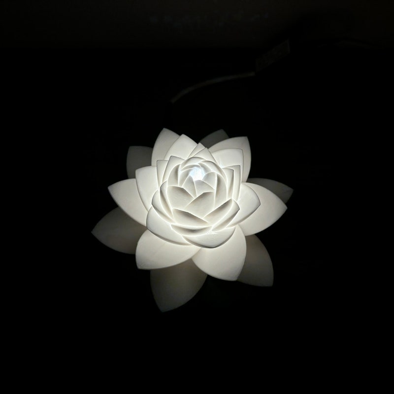 Lotus Flower Lamp - Etsy