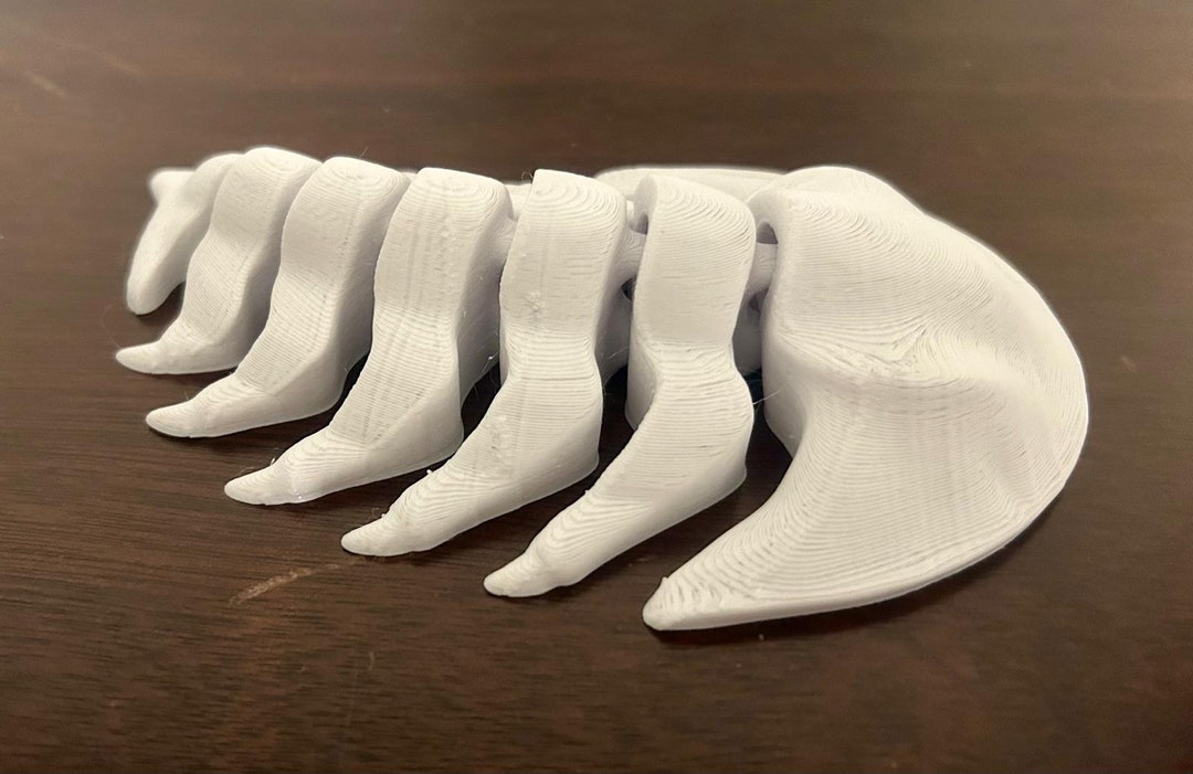 2024 Articulated Trilobite 3D PRINTED - Etsy