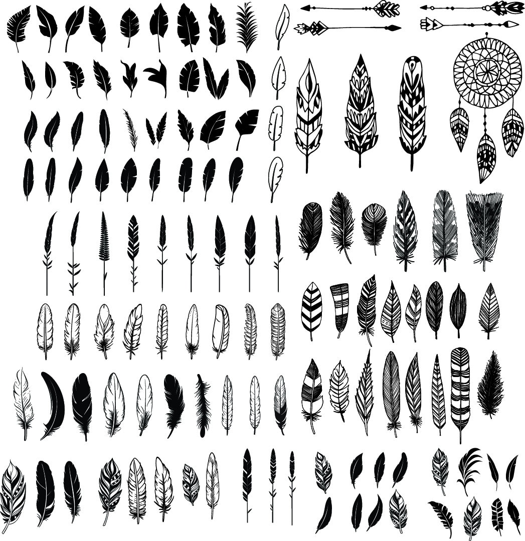 270 Feather Svg Bundle, Feather Birds Svg, Dxf, Png, Jpg, Feathers ...