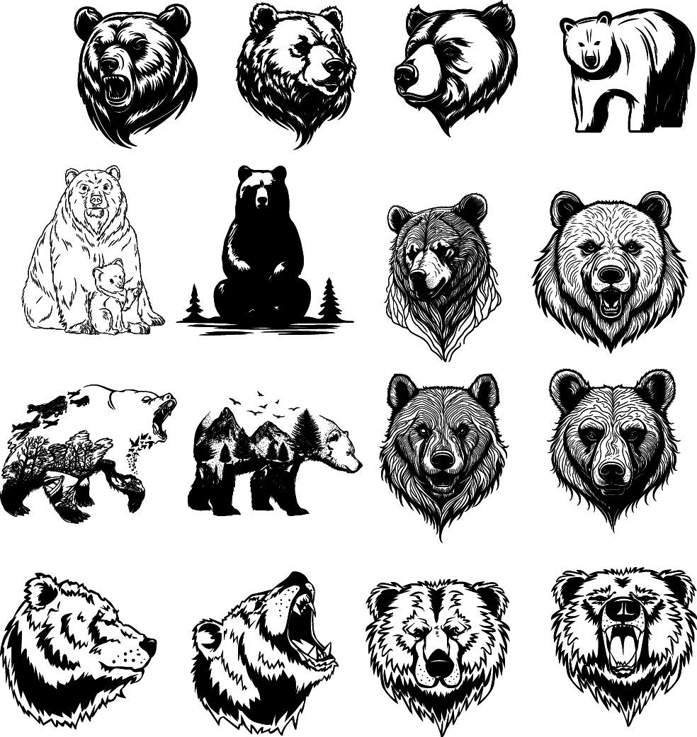 333 Bear SVG Bundle, Bear PNG Bundle, Bear Clipart, Bear Silhouette ...