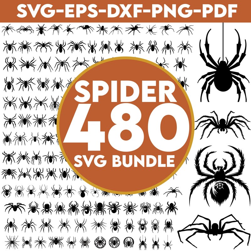 Spider Web Svg - Etsy