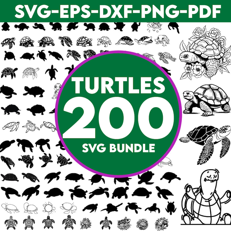 Turtle Cricut - Etsy