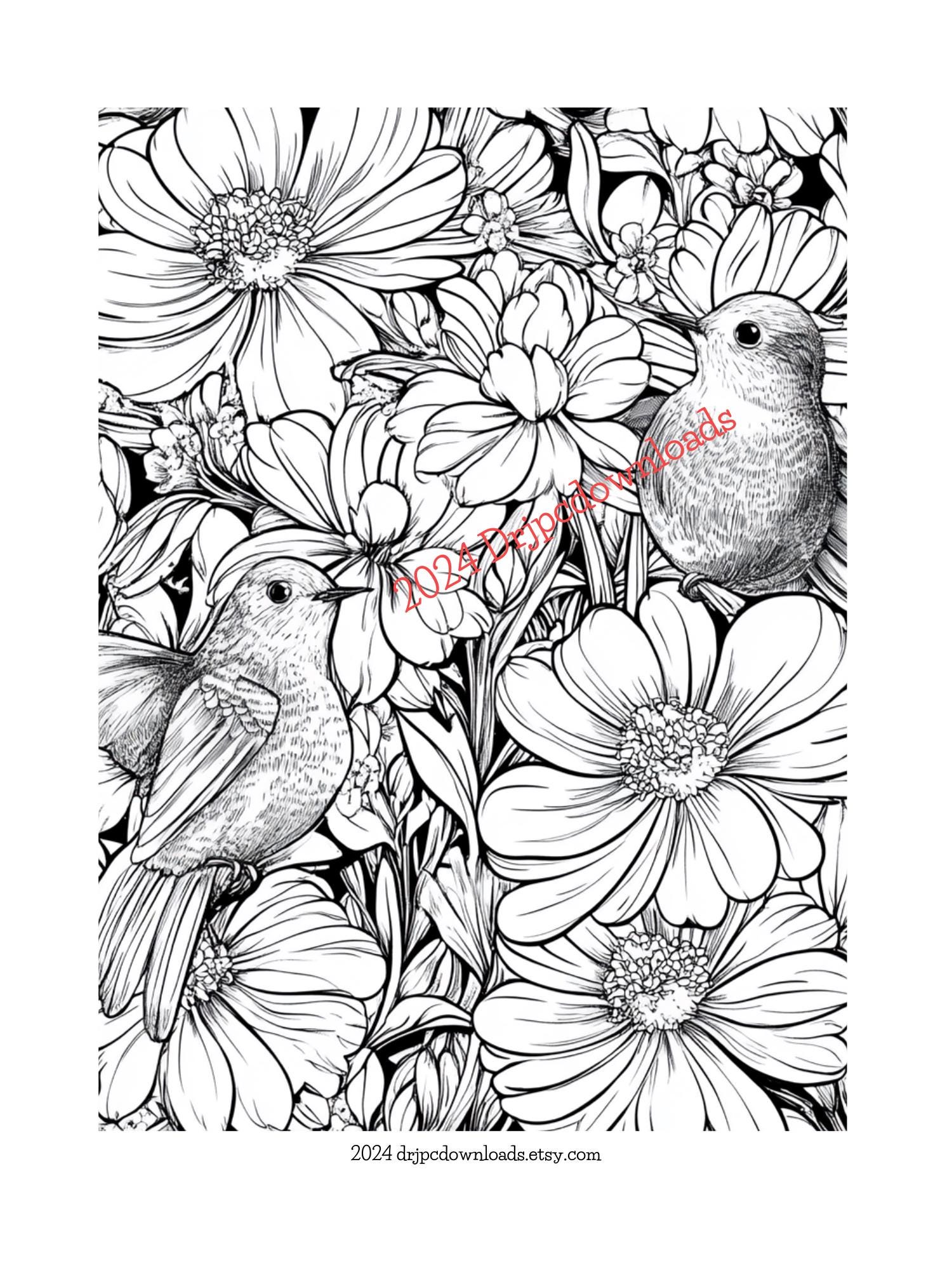 Color Your Stress Away With Coloring Through Courage: A Creative ...