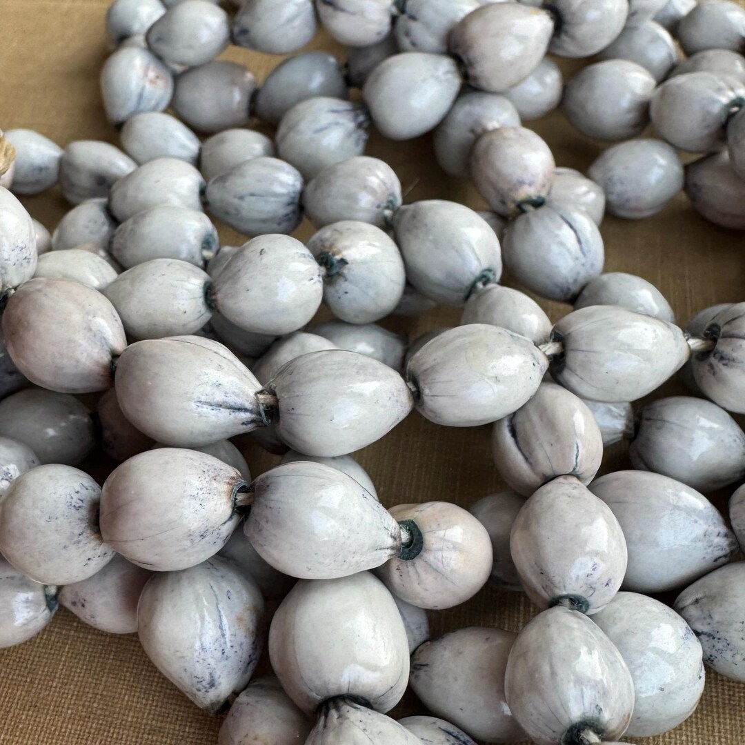 Job's Tears Beads, Natural Seeds, Set of 20 - Etsy