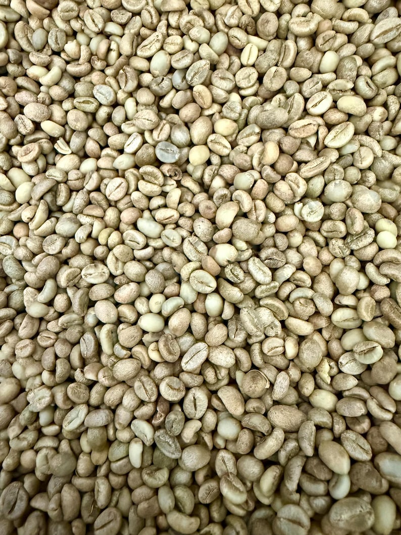 1 Lb. Unroasted Belizean Green Coffee Whole Beans, Central American ...