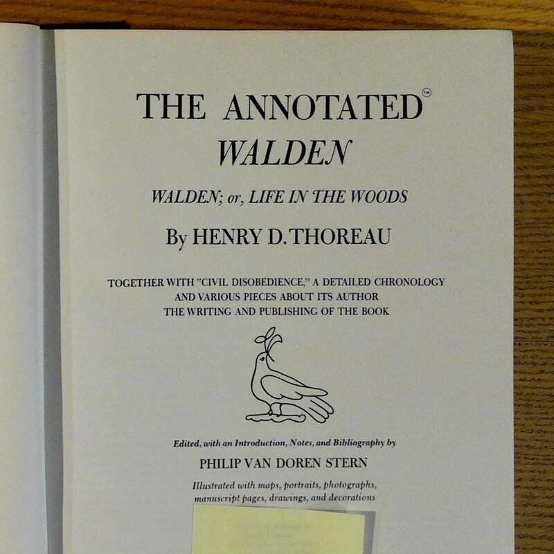Walden Pond - Etsy