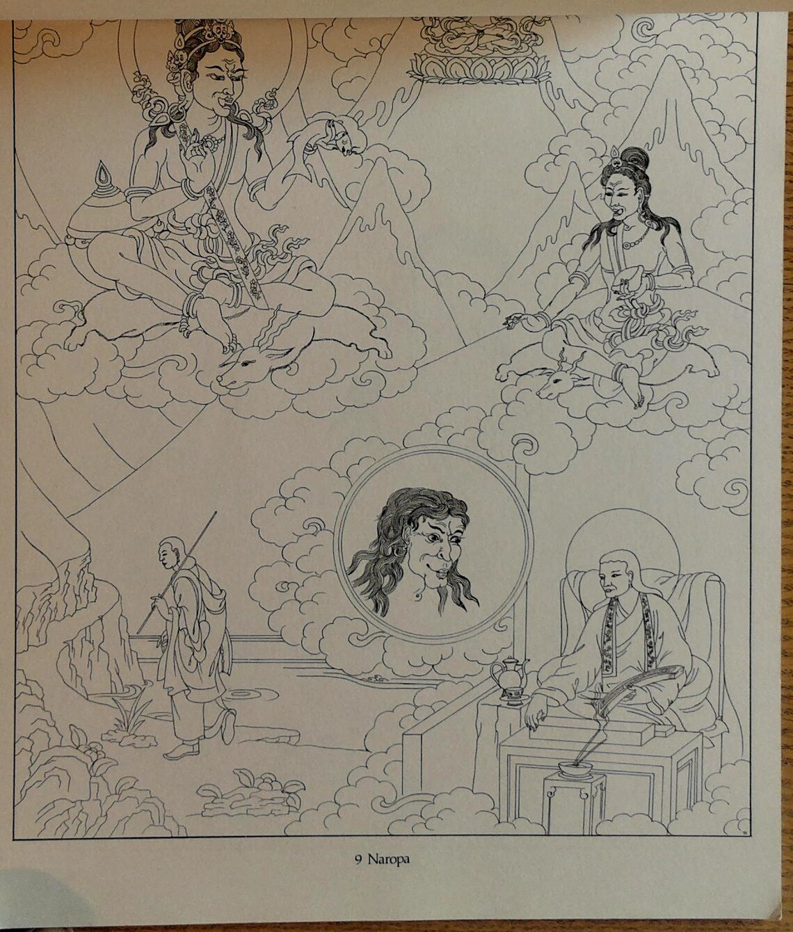 Tara's Colouring Book by Andy Weber, Nigel Willings, and Jon Landaw - Etsy