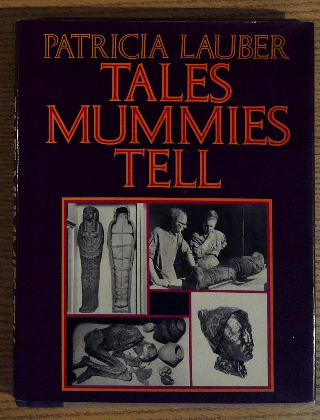 Tales Mummies Tell by Patricia Lauber - Etsy