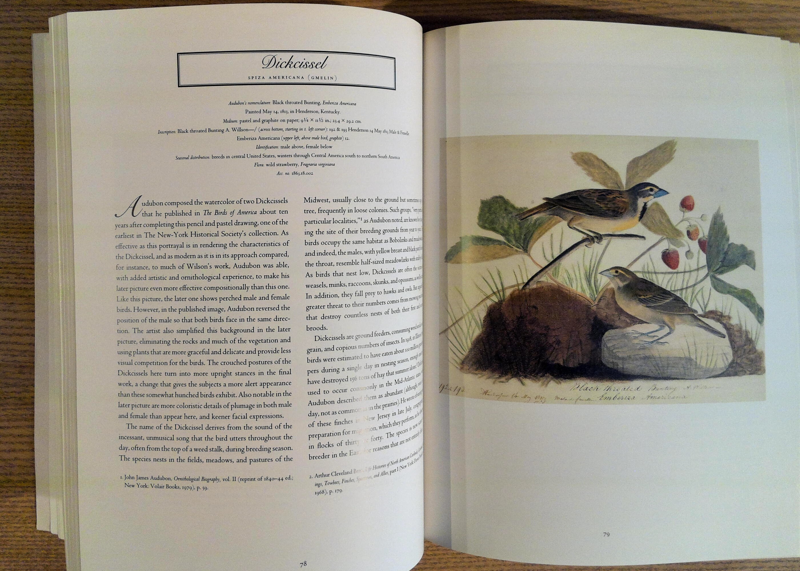 John James Audubon: the Watercolors for the Birds of America - Etsy