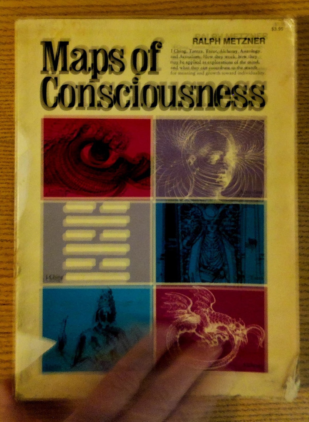 Maps of Consciousness by Ralph Metzner - Etsy