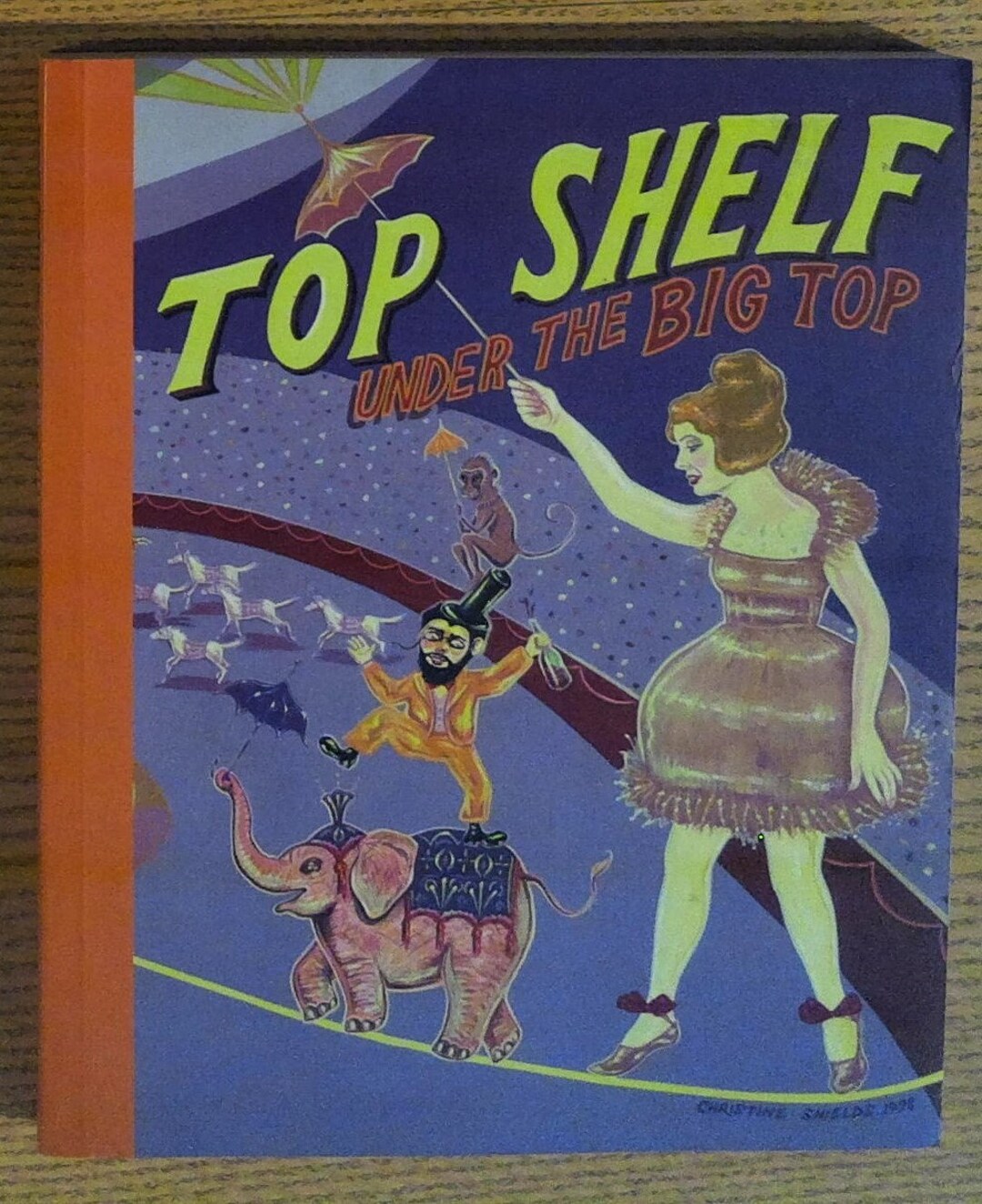Top Shelf: Under the Big Top [comic Anthology] - Etsy