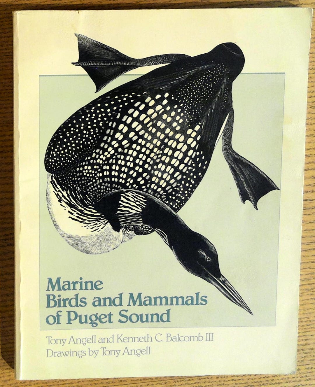Marine Birds and Mammals of Puget Sound (puget Sound Book) by Angell ...