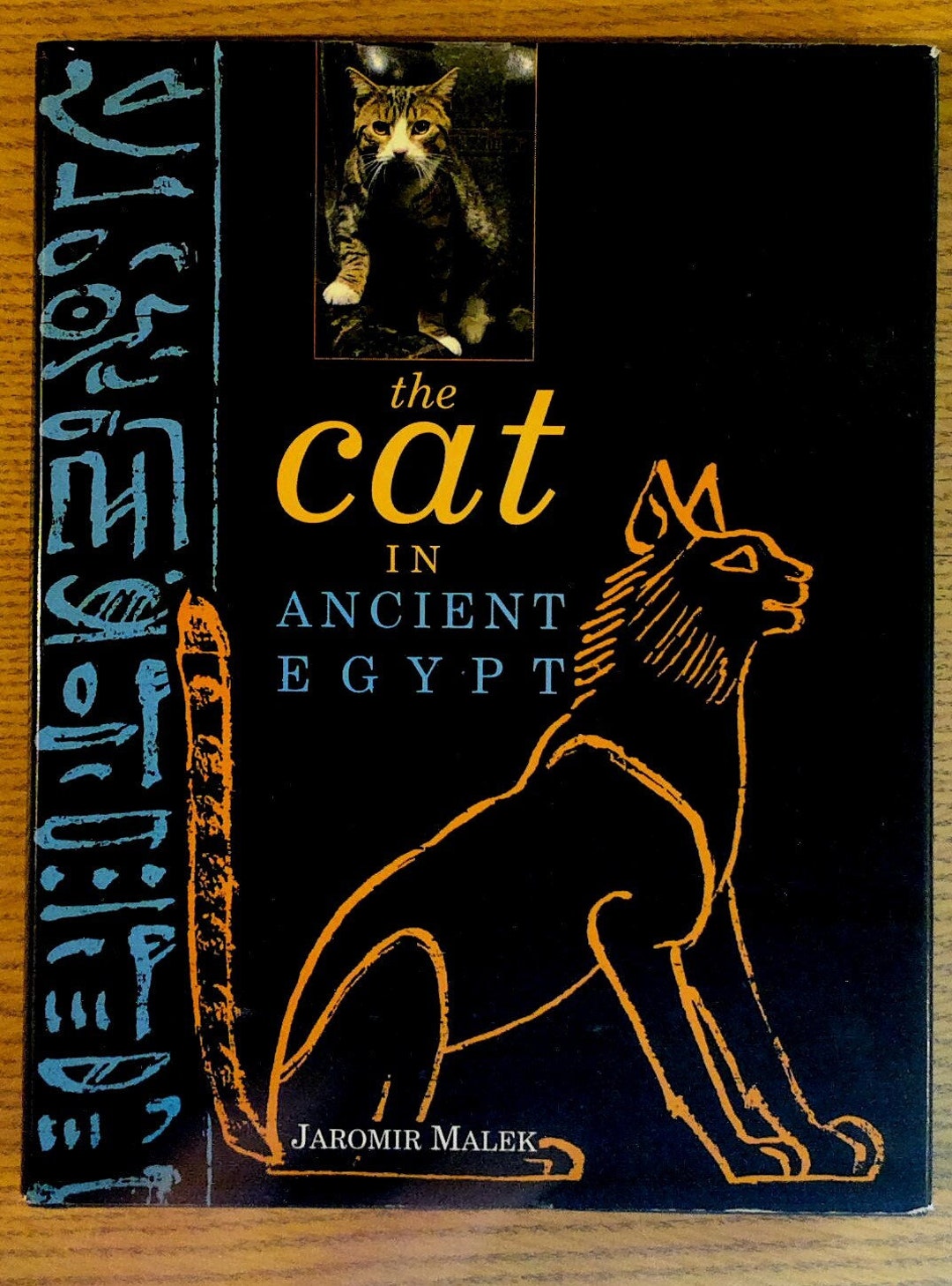 The Cat in Ancient Egypt - Etsy