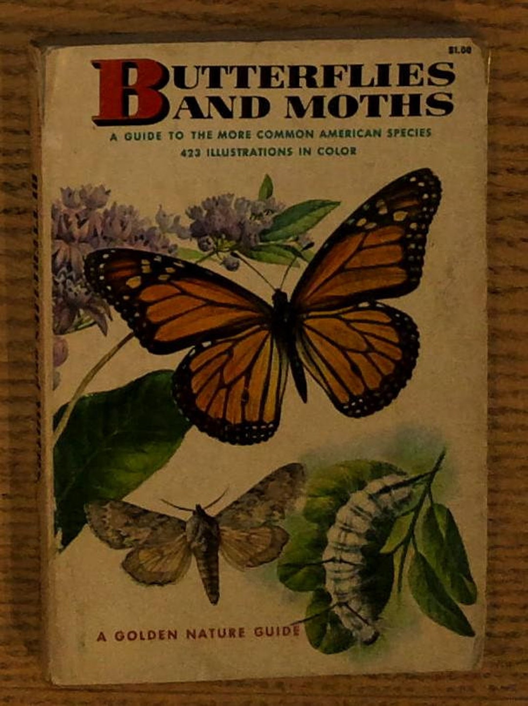 Butterflies and Moths: A Guide to the More Common American Species - Etsy