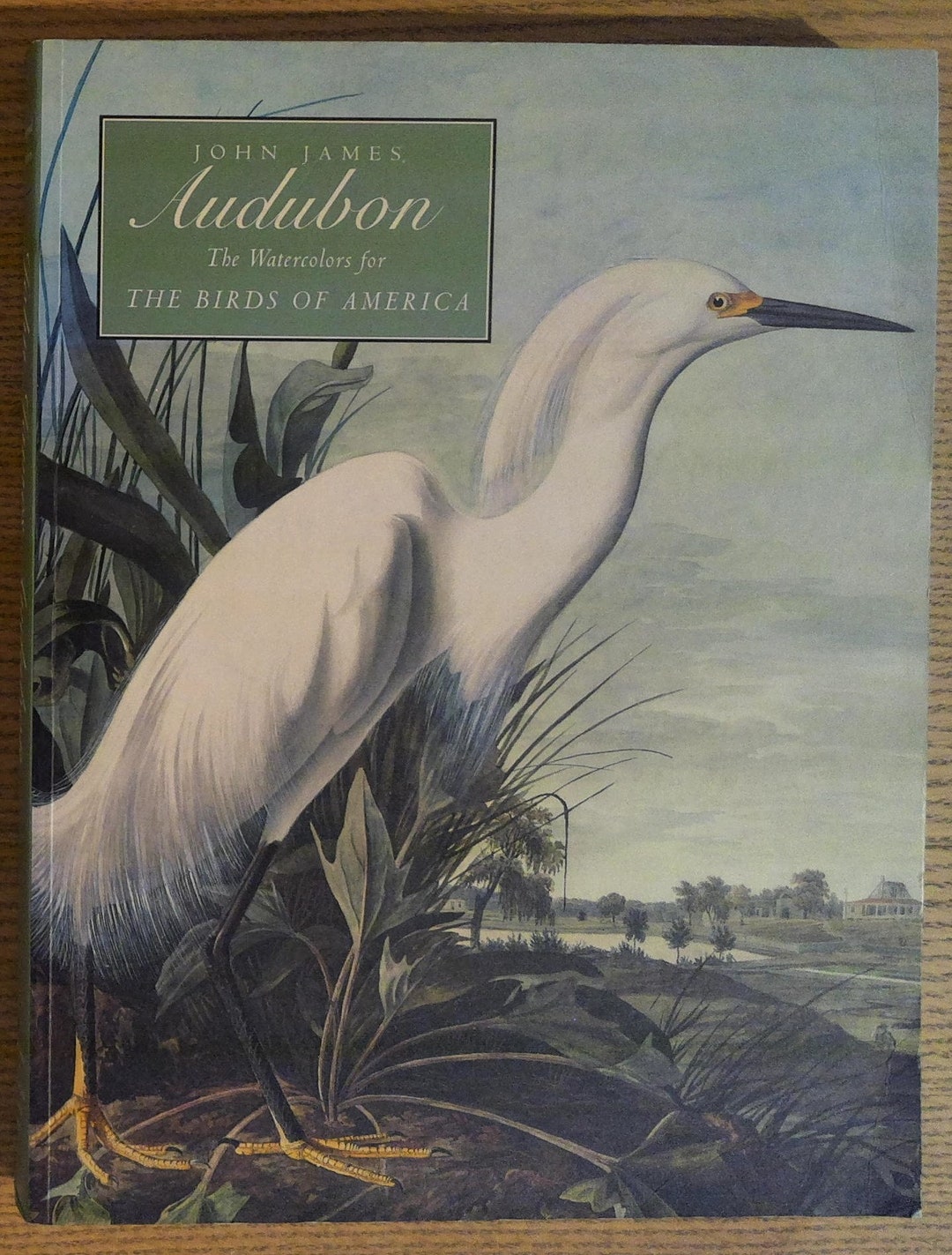 John James Audubon: the Watercolors for the Birds of America - Etsy
