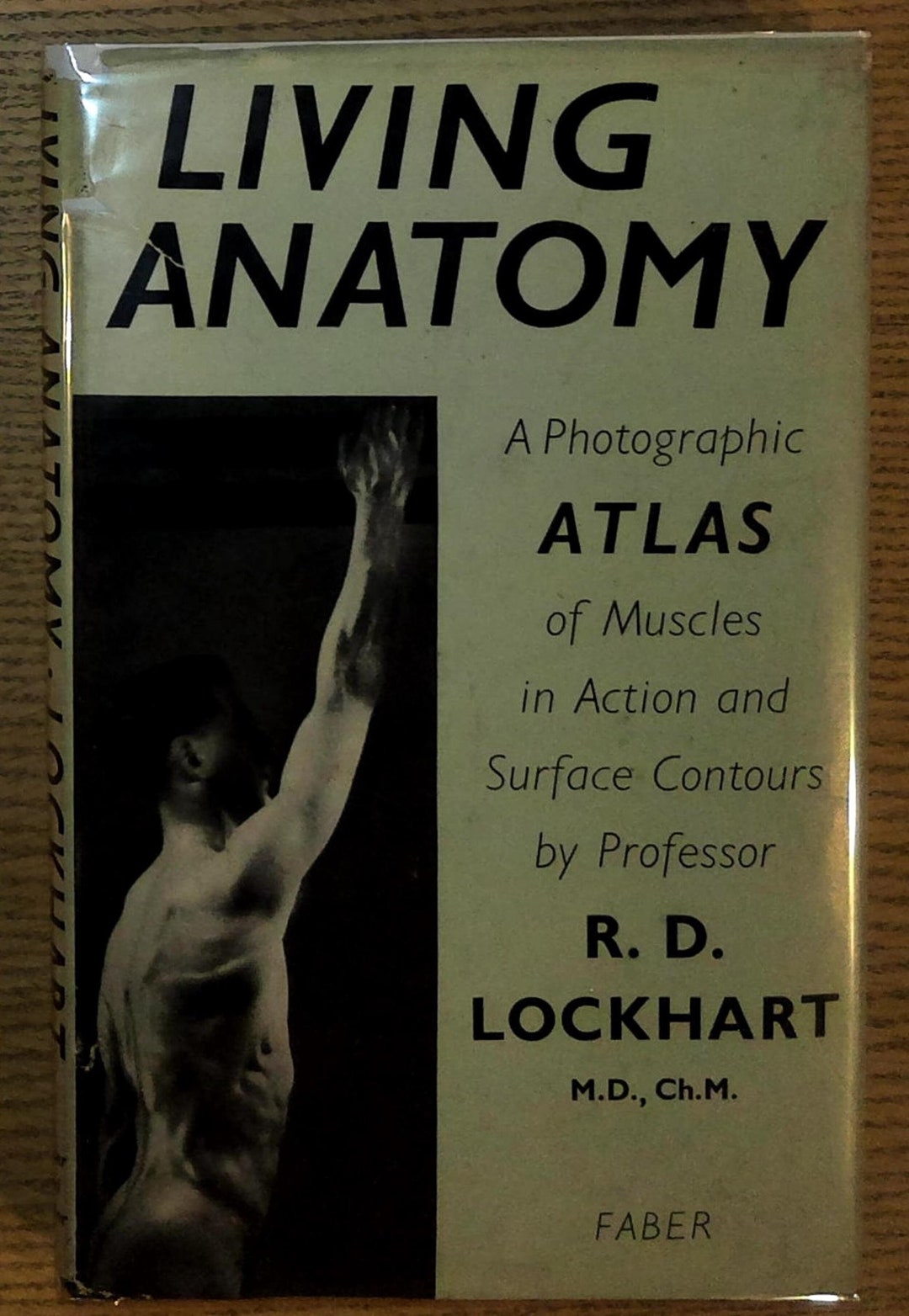 Living Anatomy: a Photographic Atlas of Muscles in Action and Surface ...