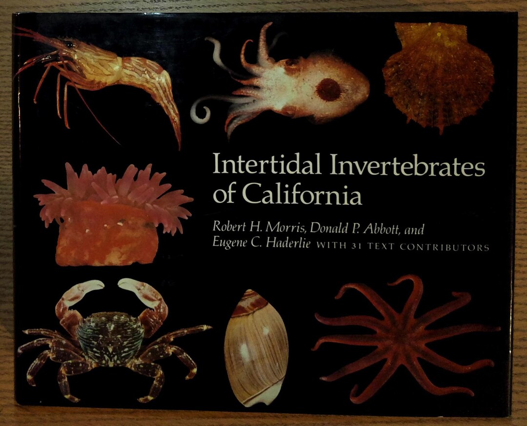 Intertidal Invertebrates of California by Morris, Robert Harding ...