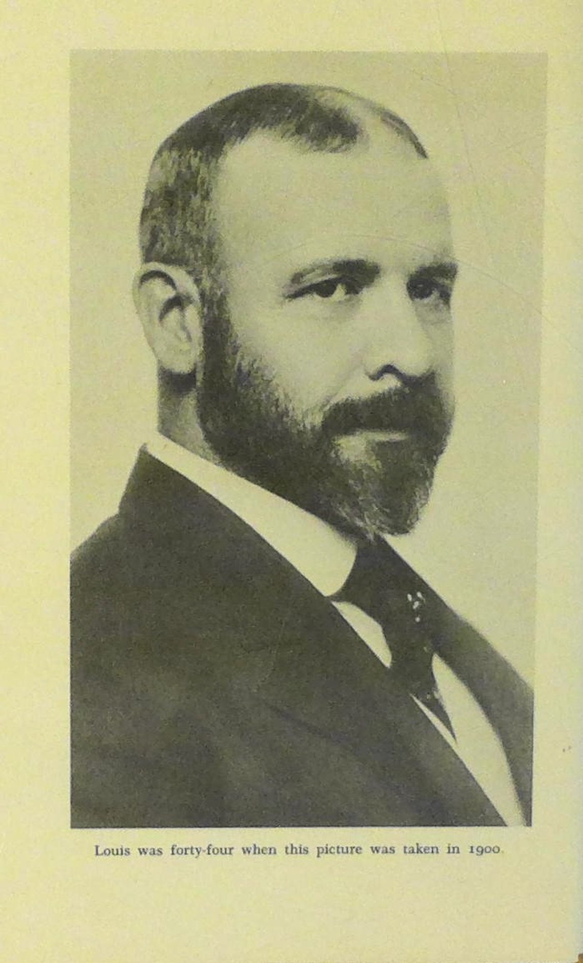 Father of Skyscrapers: A Biography of Louis Sullivan by Mervyn - Etsy