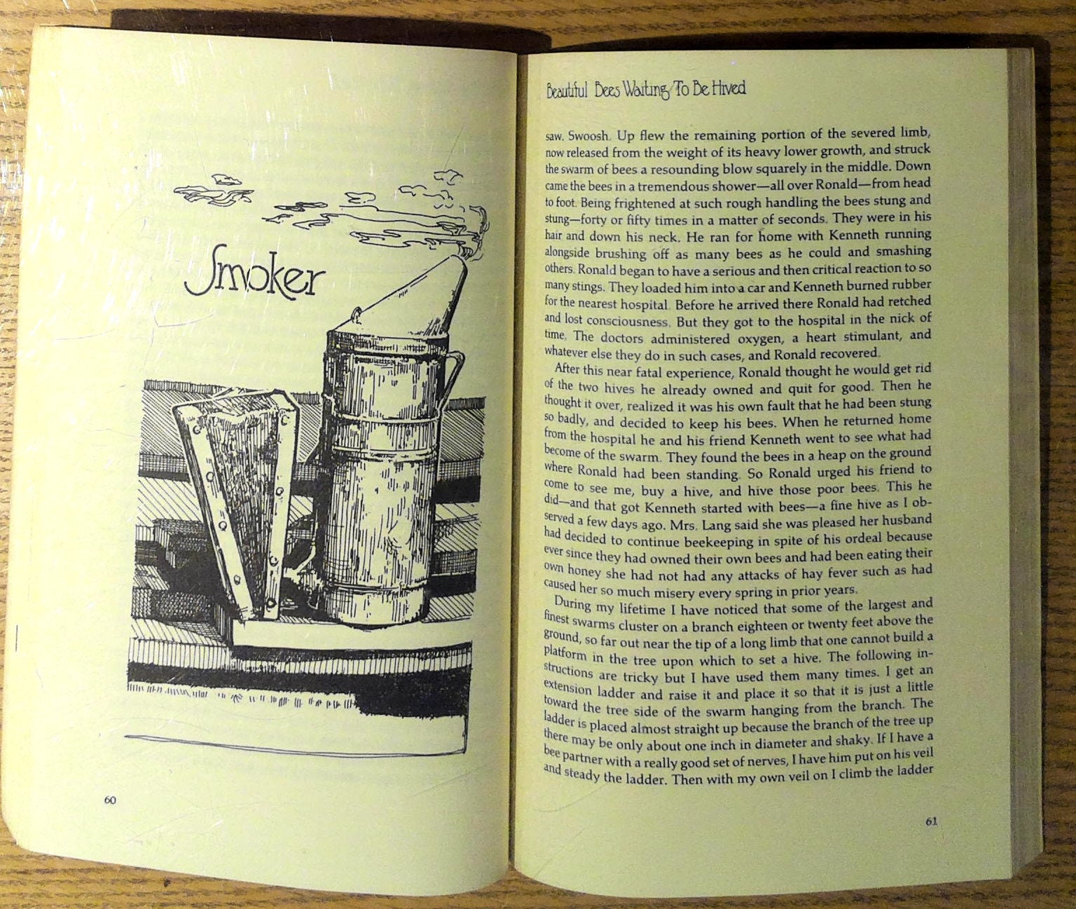 The Art and Adventure of Beekeeping by Ormond Aebi and Harry Aebi - Etsy