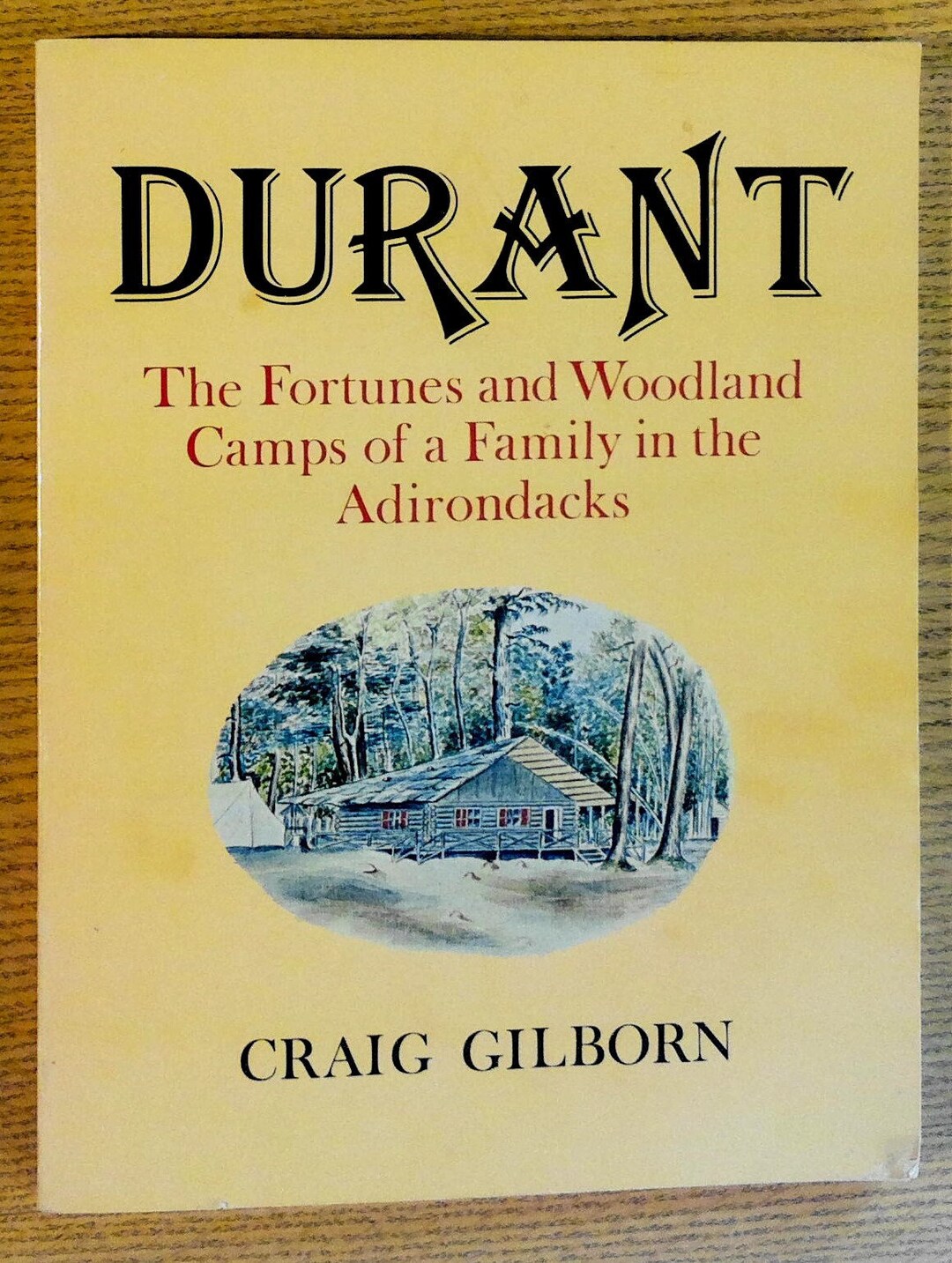 Durant: the Fortunes and Woodland Camps of a Family in the Adirondacks ...