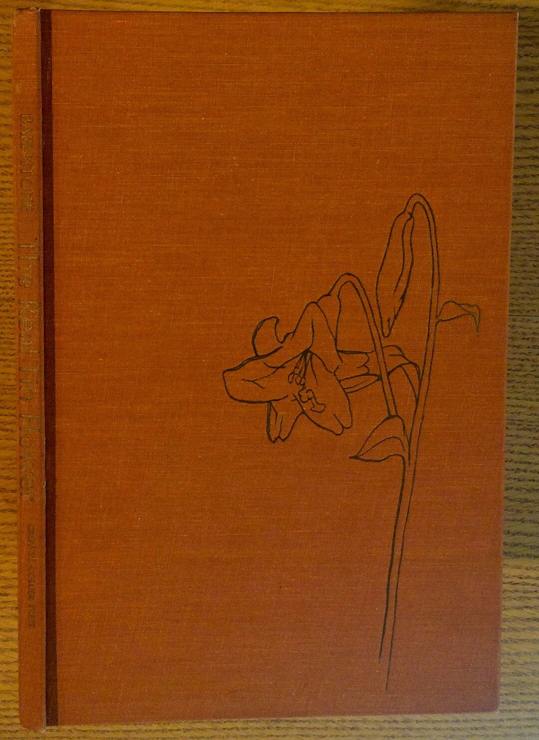 The Real Tin Flower: Poems About the World at Nine by Aliki Barnstone ...