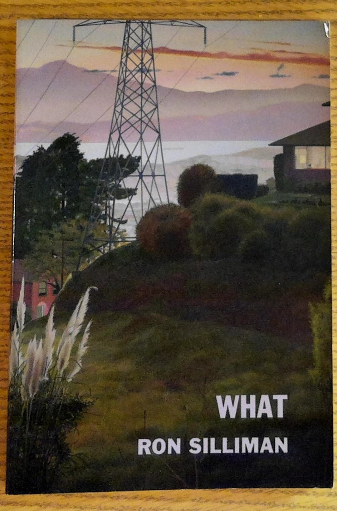 What by Ron Silliman - Etsy