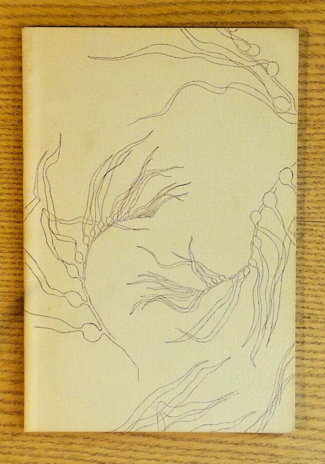 The Poet & the Dancer by HD [hilda Doolittle] - Etsy